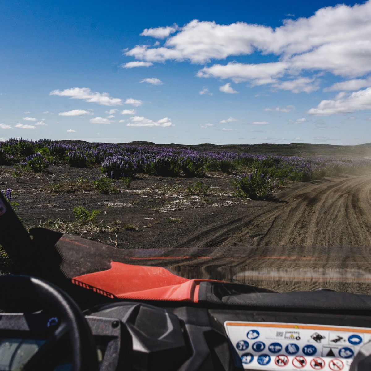 Buggy adventure - Ion Adventures